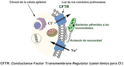 BR-Lab Genomics : Genética de la Fibrosis Quística