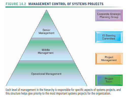 Management structure for information systems projects