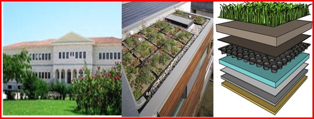 ΤΑΡΑΤΣΟΚΗΠΟΣ...Ο ΚΗΠΟΣ ΤΩΝ ΠΟΛΕΩΝ: Αυγούστου 2013