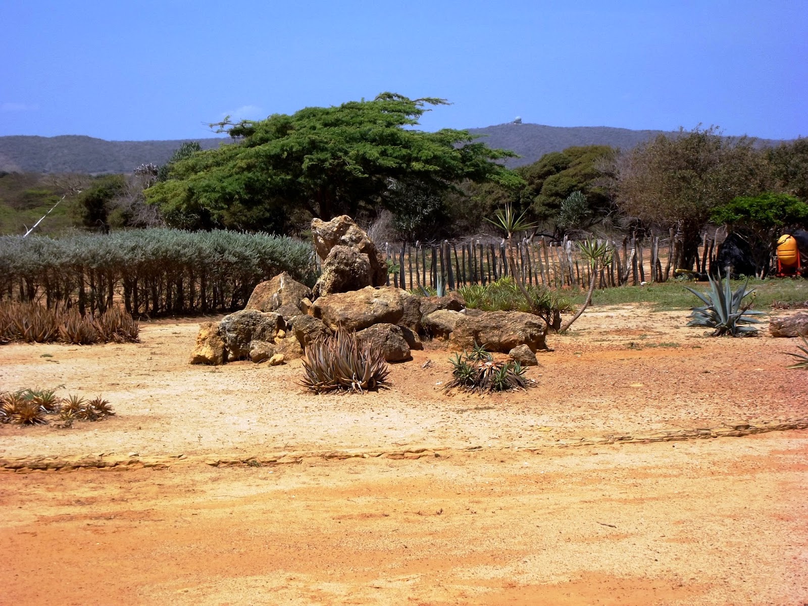 LOS VIAJES DE RICARDO ALONSO: TOUR A PARAGUANA 2014 - PARTE 2 : EL DIA 2