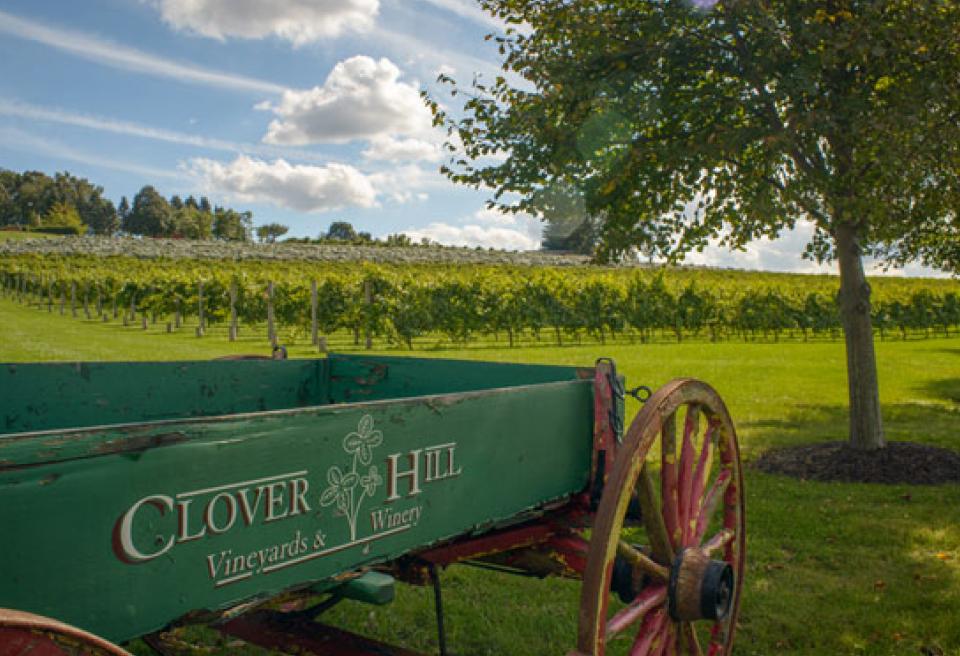 9 Ways to Feel the Spring Vibes in Lehigh Valley, Pennsylvania ...