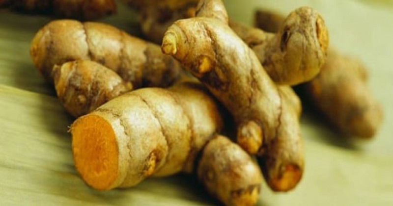 Manfaat Temulawak Untuk kesehatan - Ensiklopedia Herbal