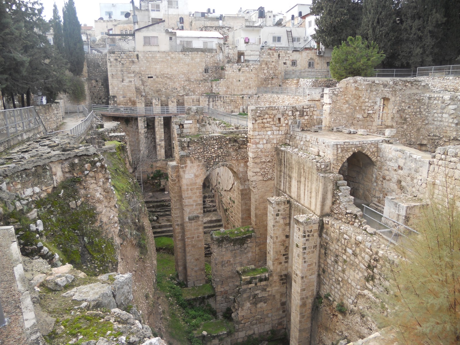 Liturgy Pacific: News From Tel Aviv, Wednesday, 18 January 2012