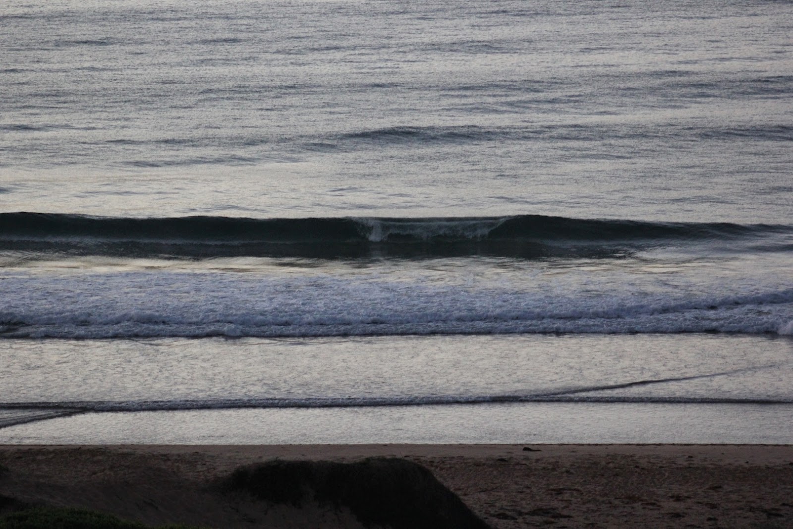 Shelly Beach Surf Report