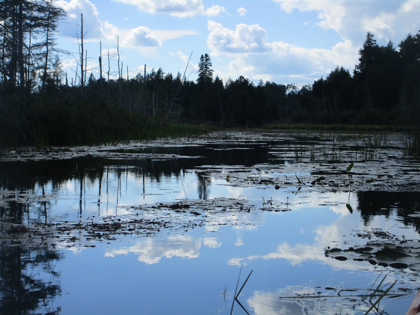 Dave's Yak Tales: Little Spider Lake, Day 5