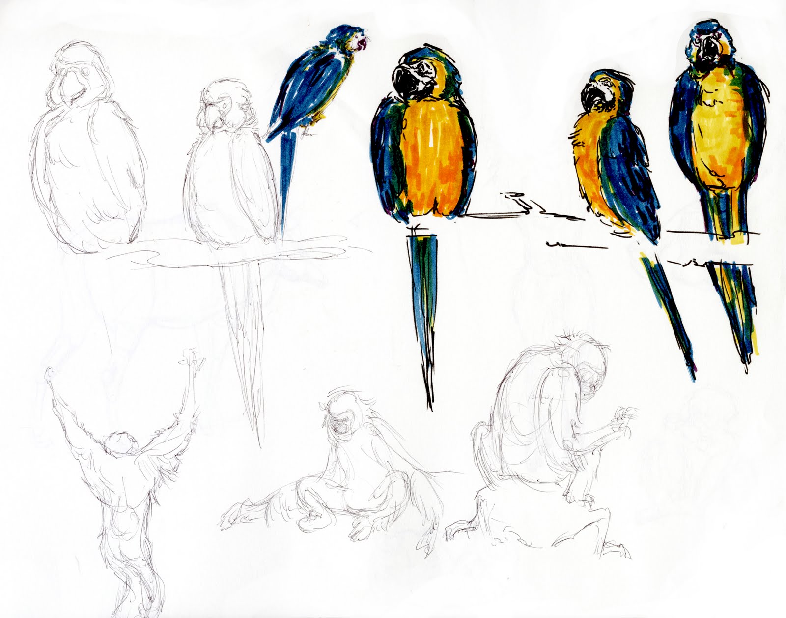 Art Kimistry: More Animal Drawings and Stuff