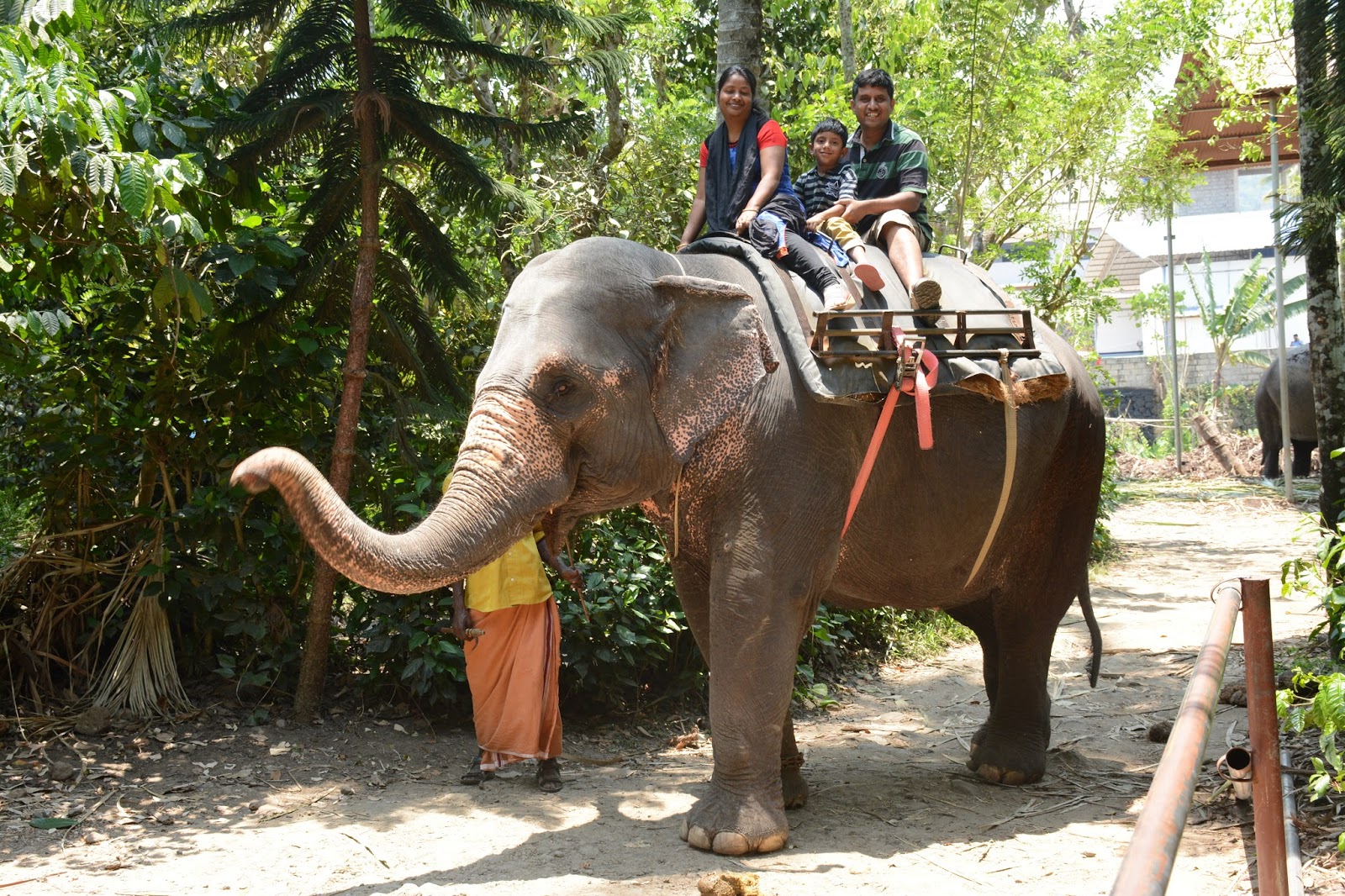 Our Travel Tales: Elephant ride at Tusker Trail, Thekkady