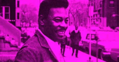 BLUES SYNDICATE: ESPECIAL JOHN LITTLEJOHN