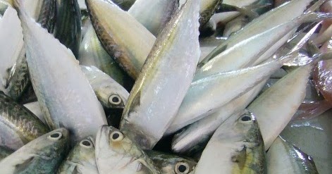 Masakan Pendap Khas Bengkulu | Resep Masakan Khas Daerah