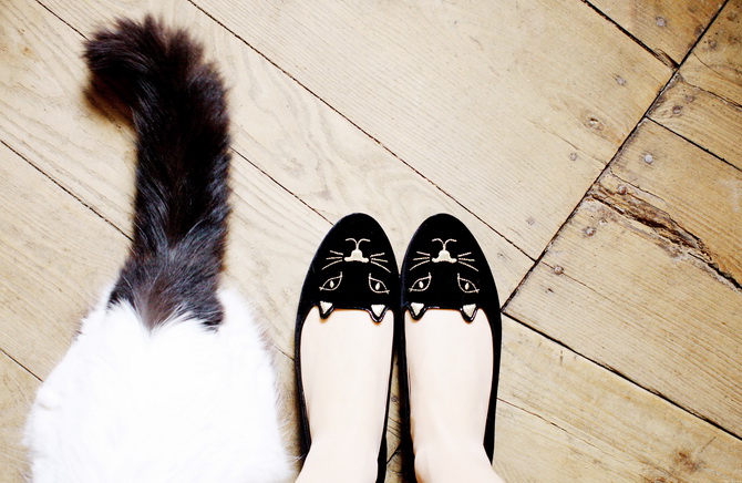 Little Miss Haute Couture: Wishlist・Five Fun Flats