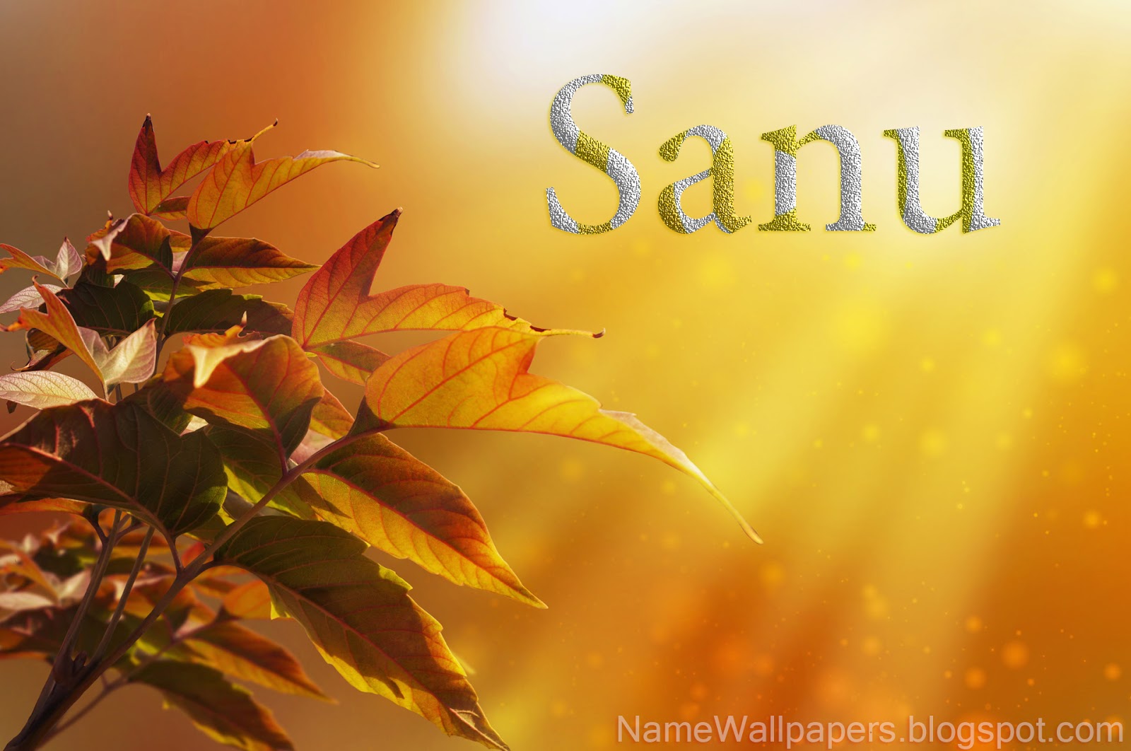 Sanu Name Wallpapers Sanu ~ Name Wallpaper Urdu Name Meaning Name ...