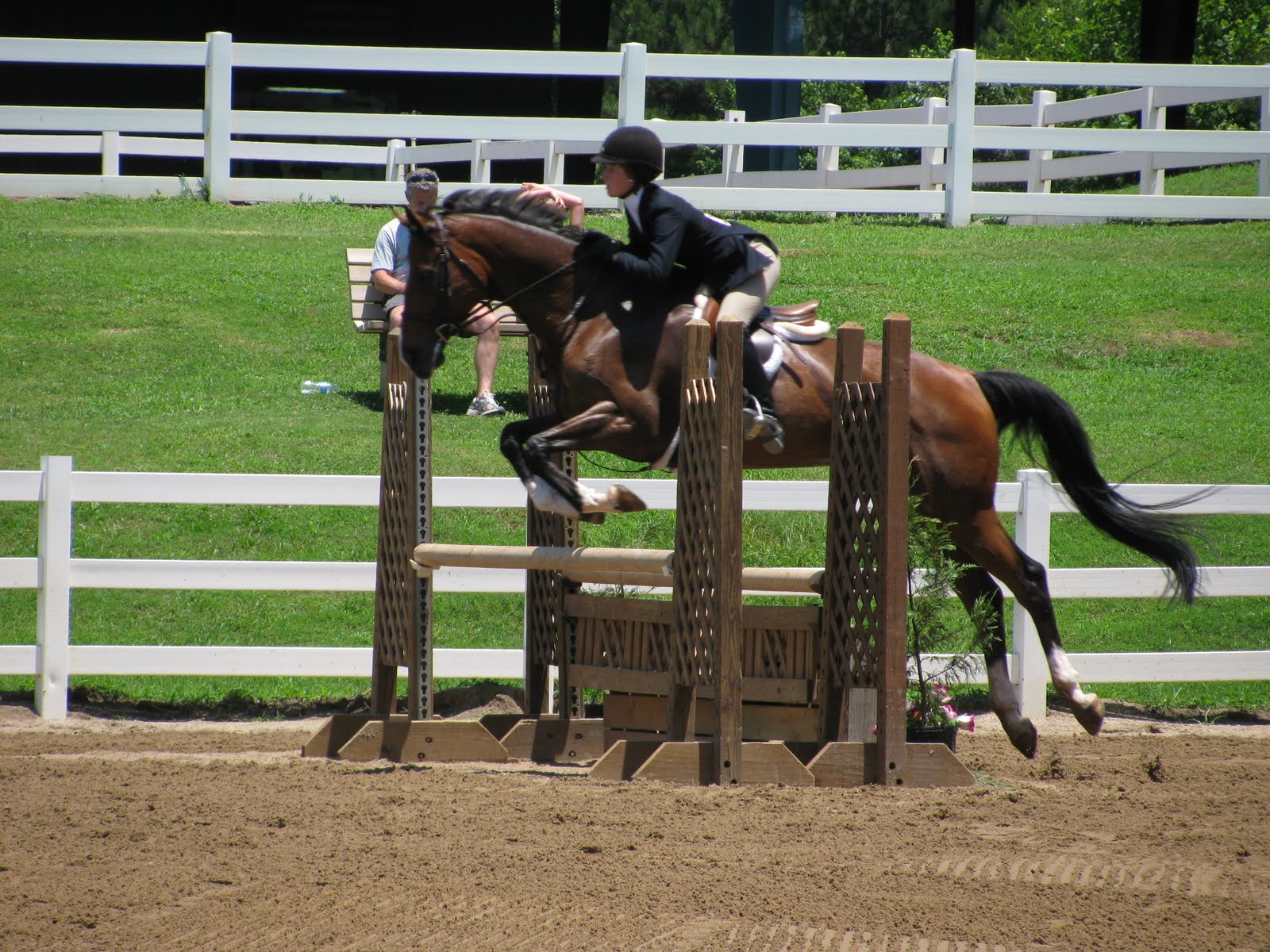 Girls and Thier Horses: Horse Show Jumping
