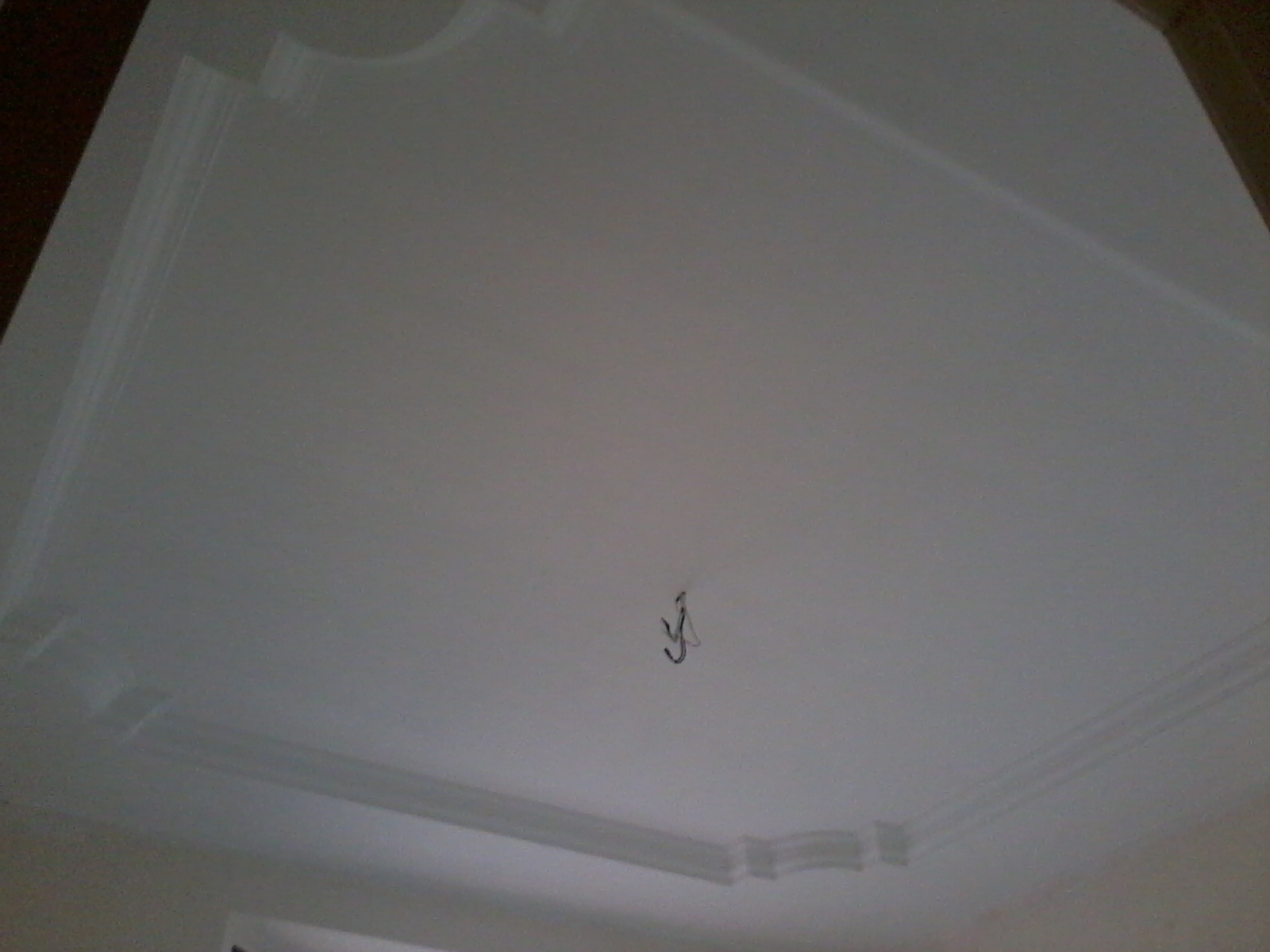 Plaster Siling/Specialist Plaster Ceiling (SBDICE): Siling plaster di ...