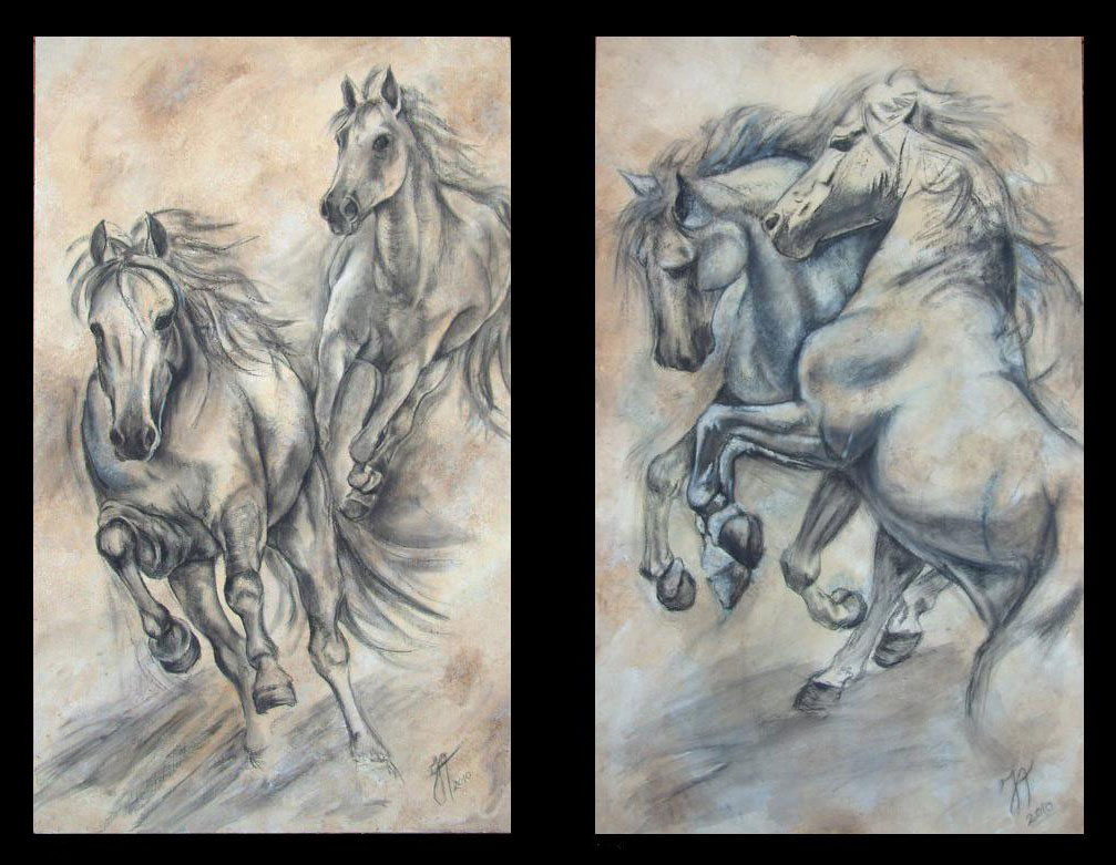 The Beautiful Room: Tails of Whoa Guest Post