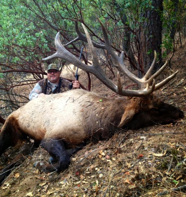 Northern California Hunting: Dash Ranch: Rocky Mountain Elk at the DASH ...