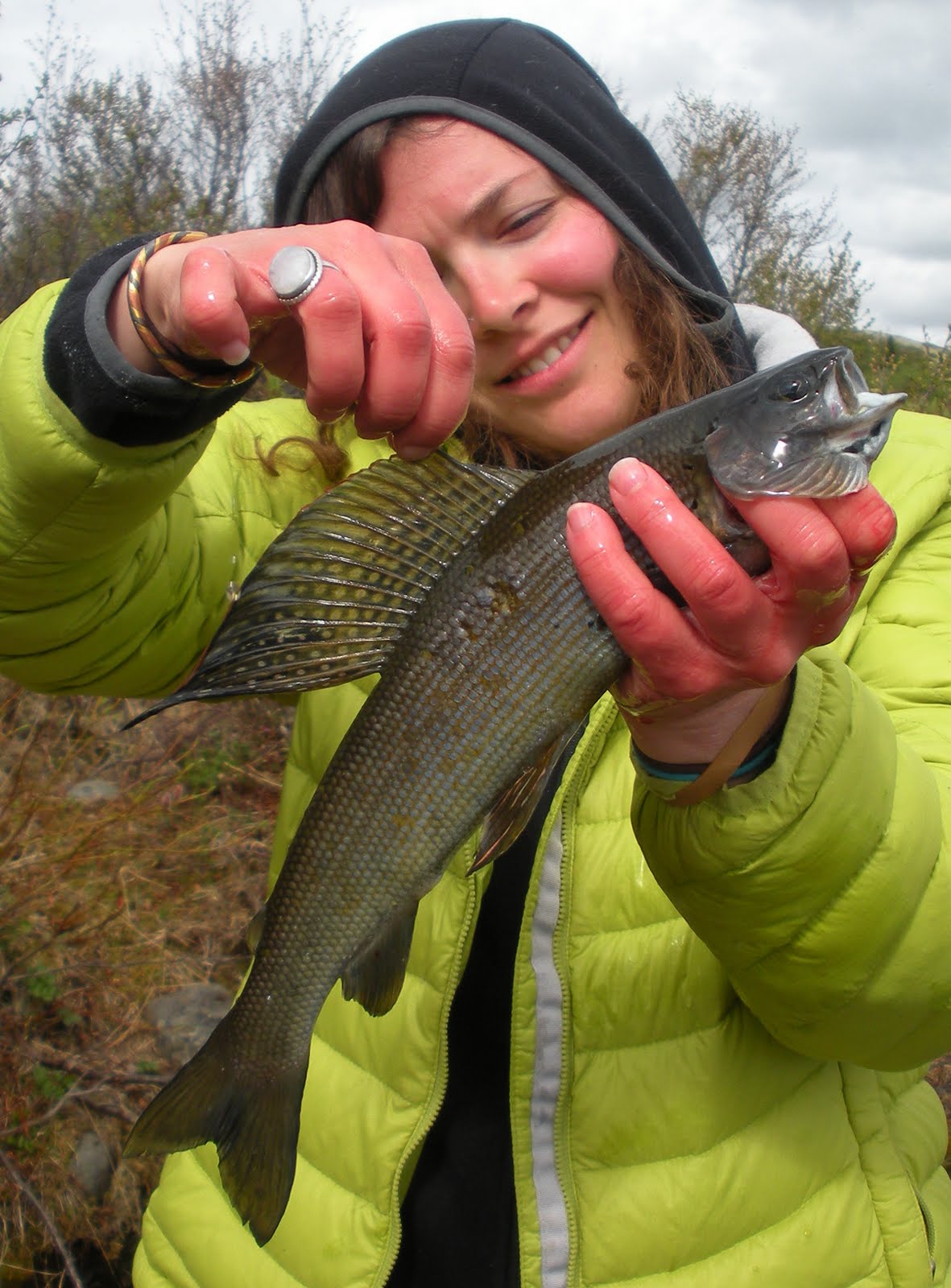 Living and Dyeing Under the Big Sky: Grayling Fishing at Tangle Lakes