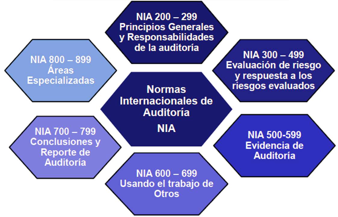 Enlace Auditor: NIA 200 Objetivos Globales del Auditor Independiente y Realización de la ...