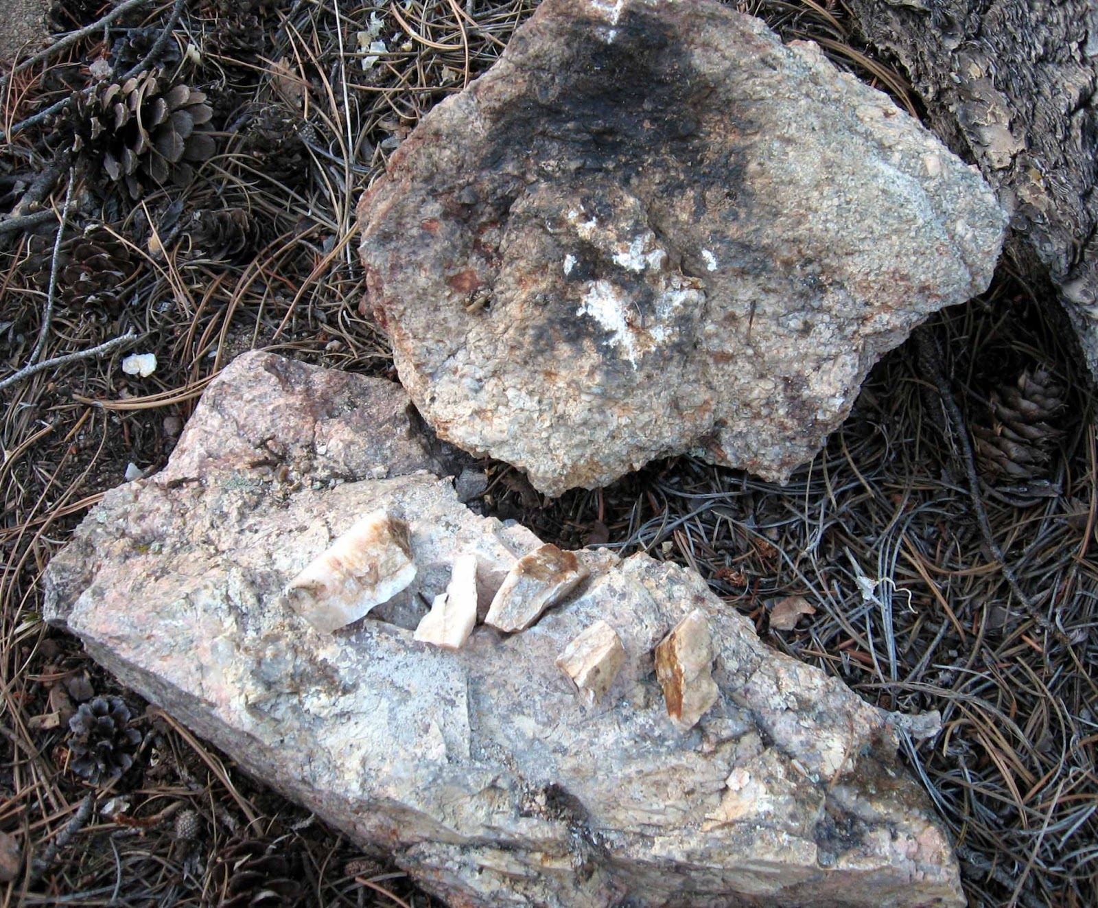 Rocky Mountain Bushcraft: Wilderness Survival: Use a sharp rock, broken ...