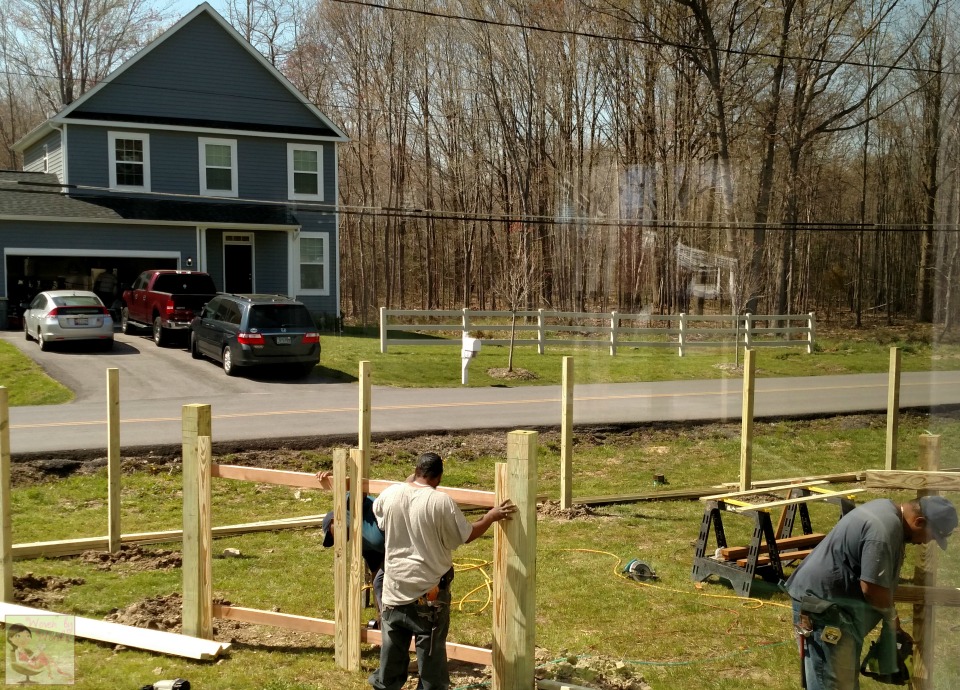Woven by Words: 5 Steps To Having A Fence Built
