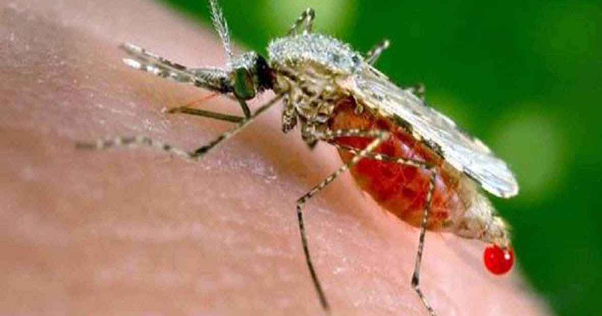 JENIS-JENIS NAJIS YANG DI MAAFKAN YANG ANDA HARUS TAHU