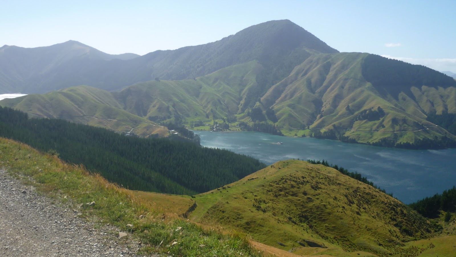 New-Zealand Adventure: Tondre des lamas à Cissy bay
