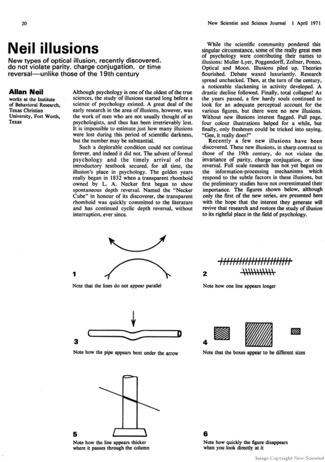 Data Deluge: Neil Optical Illusions