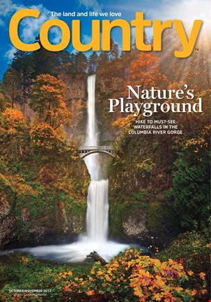 reiman publications - USA News Collections