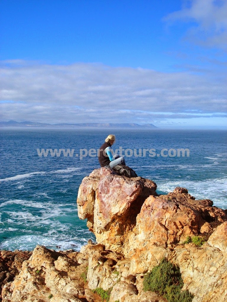 Percy Tours blog - Percy Tours Adventure Reports: Hermanus Activities ...