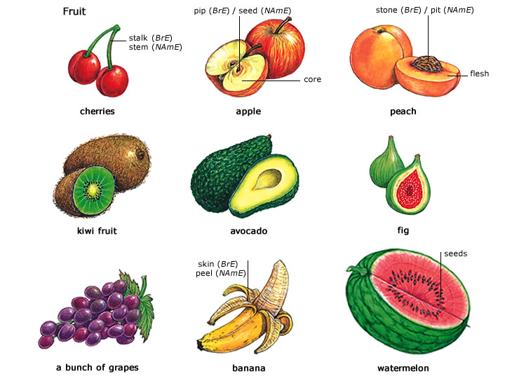 เรียนภาษาอังกฤษ ความรู้ภาษาอังกฤษ ทำอย่างไรให้เก่งอังกฤษ Lingo Think in ...