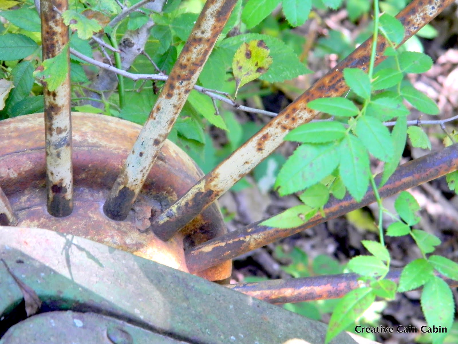Rusty Things - CREATIVE CAIN CABIN