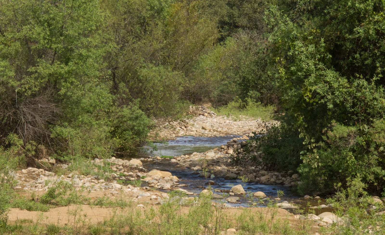 Oaxaca: Jalapa del Valle