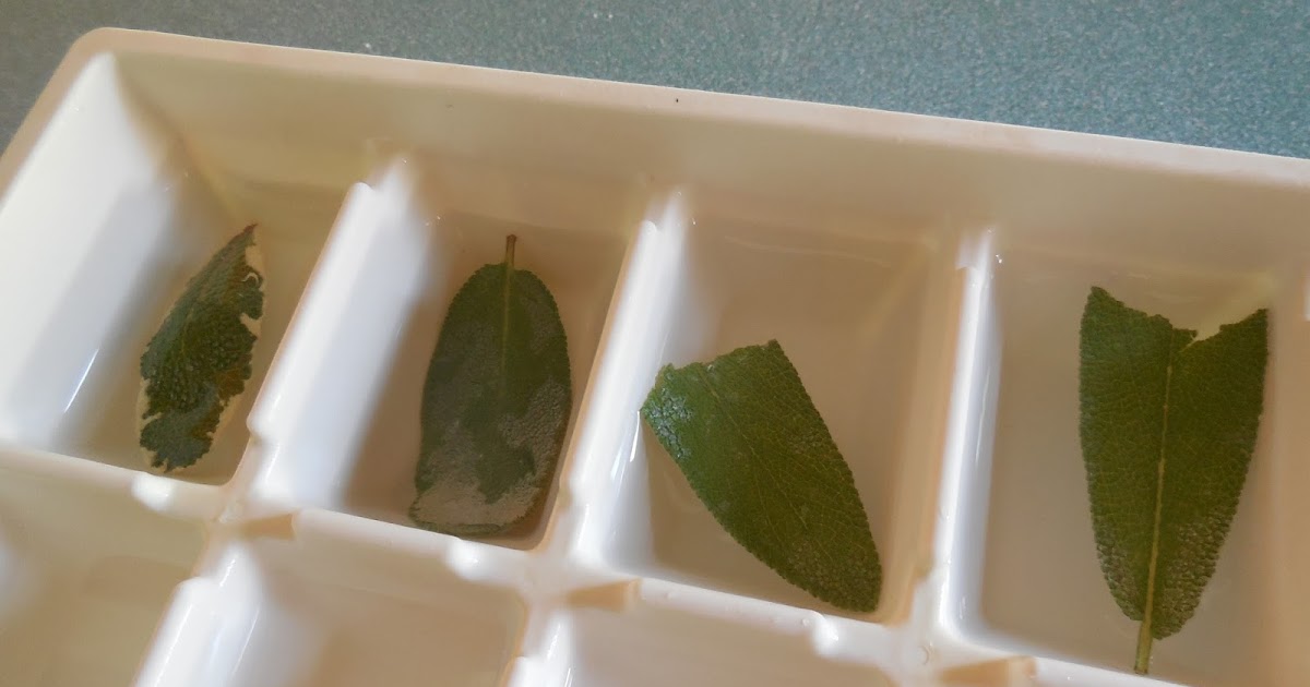 Backyard Patch Herbal Blog: 6 Unique Ways to Preserve an Herb Harvest