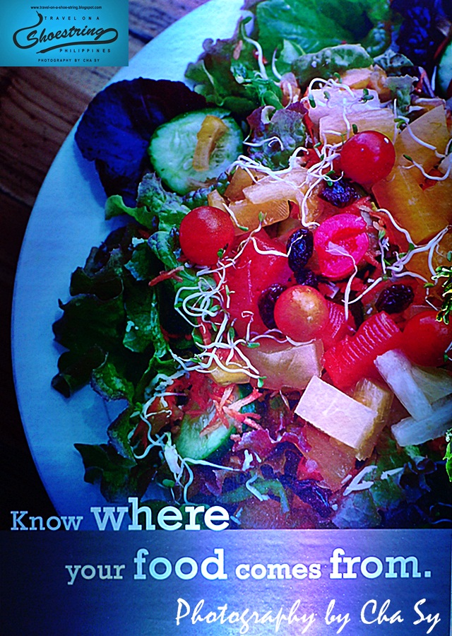 HEALTHY OPTIONS: Now offers Organic Food ~ Travel, Photographs and ...