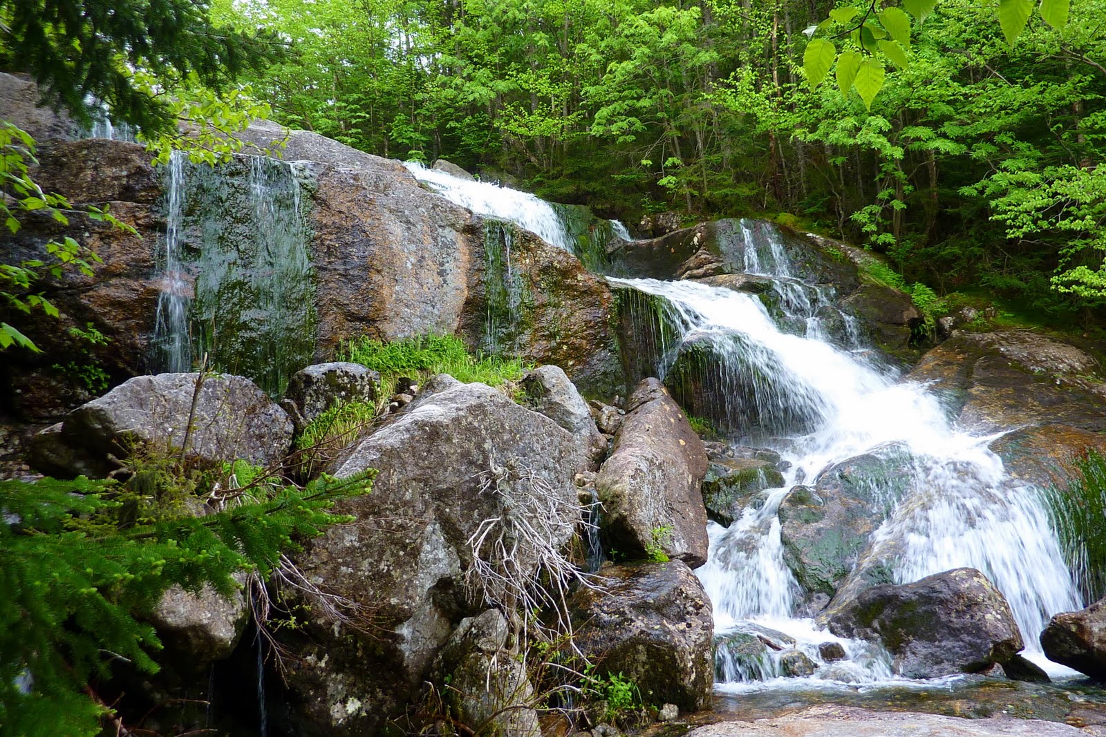 1HappyHiker: A Lollipop Loop: Cascade Ravine and Castle Ravine