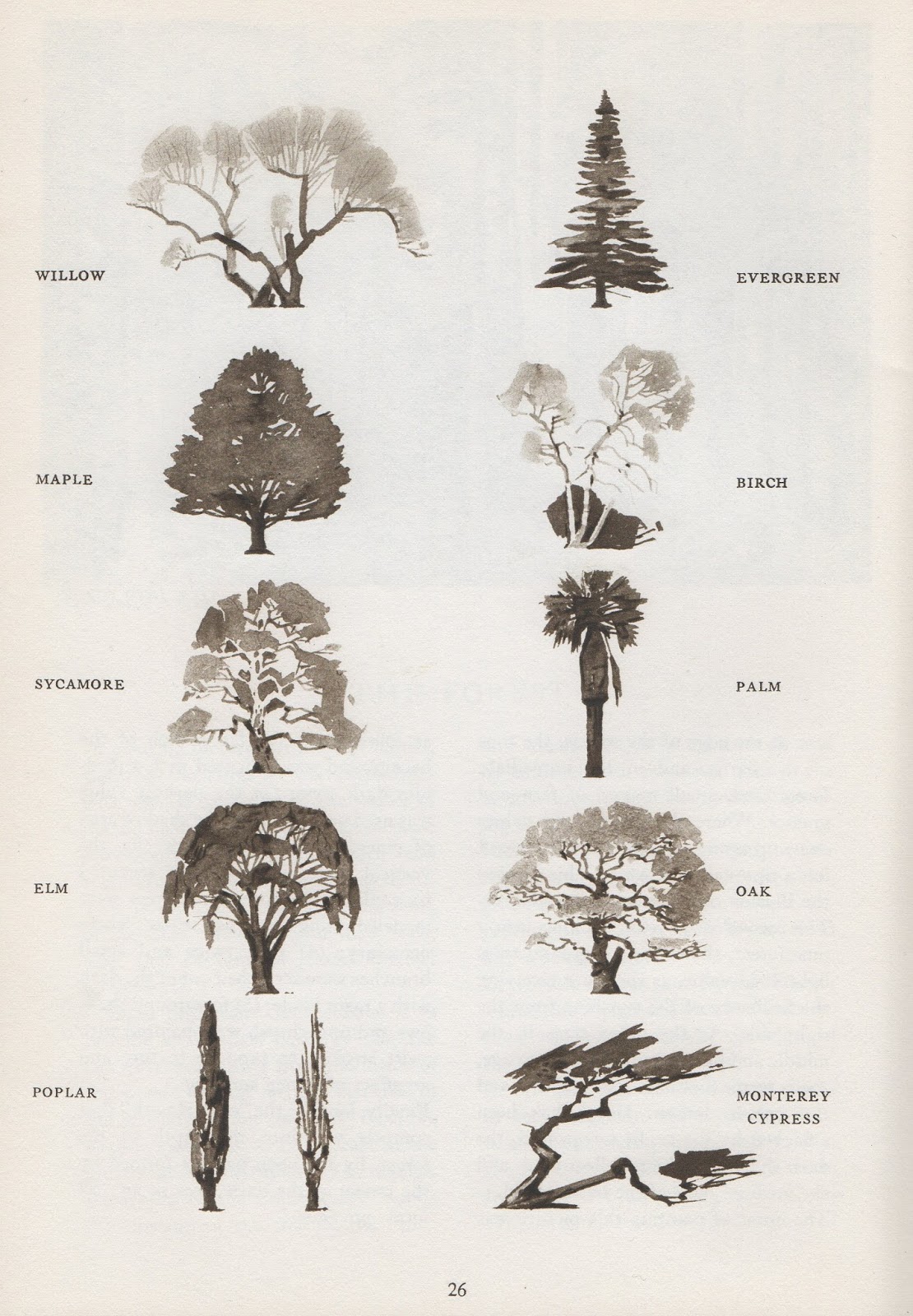 The Studio Journal: Drawing Trees
