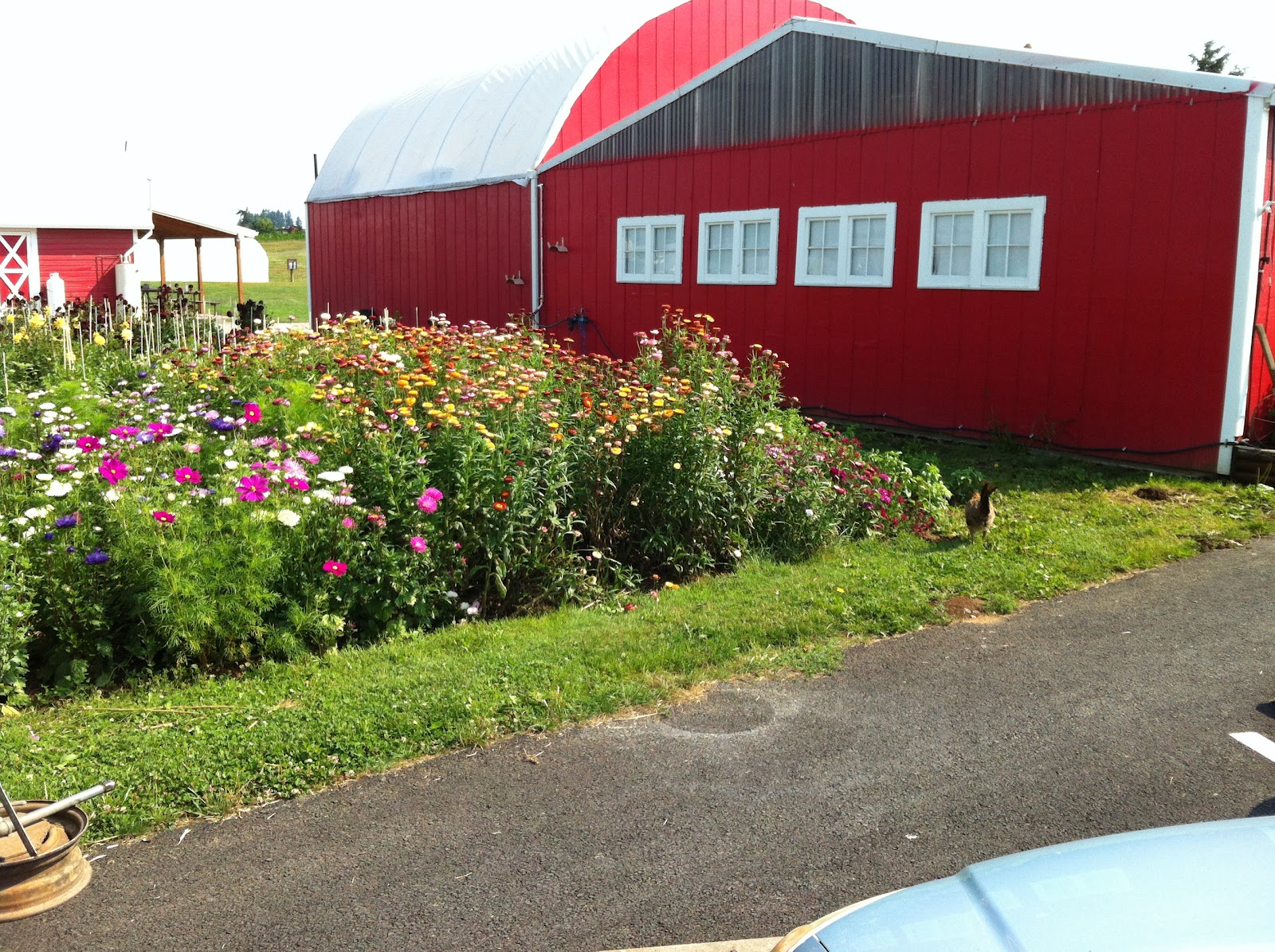 All-Purpose Flower: Local Produce