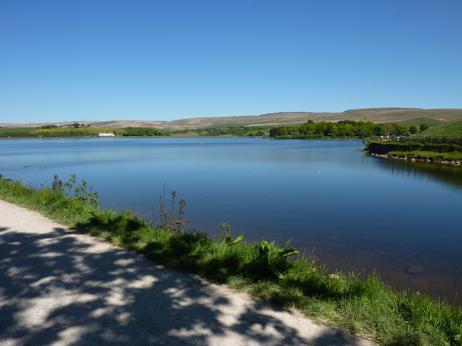 A Blog on the Landscape!