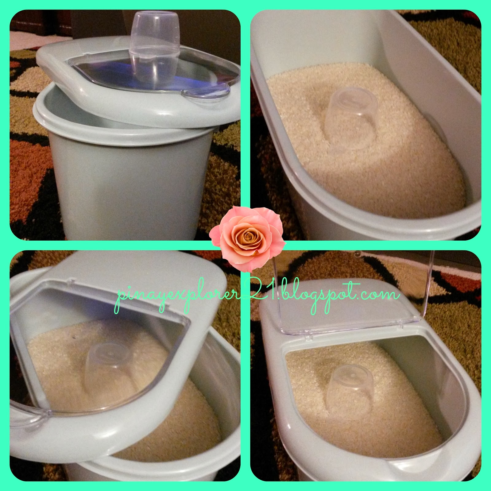 The Sweet Cuisinera: First Rice Container