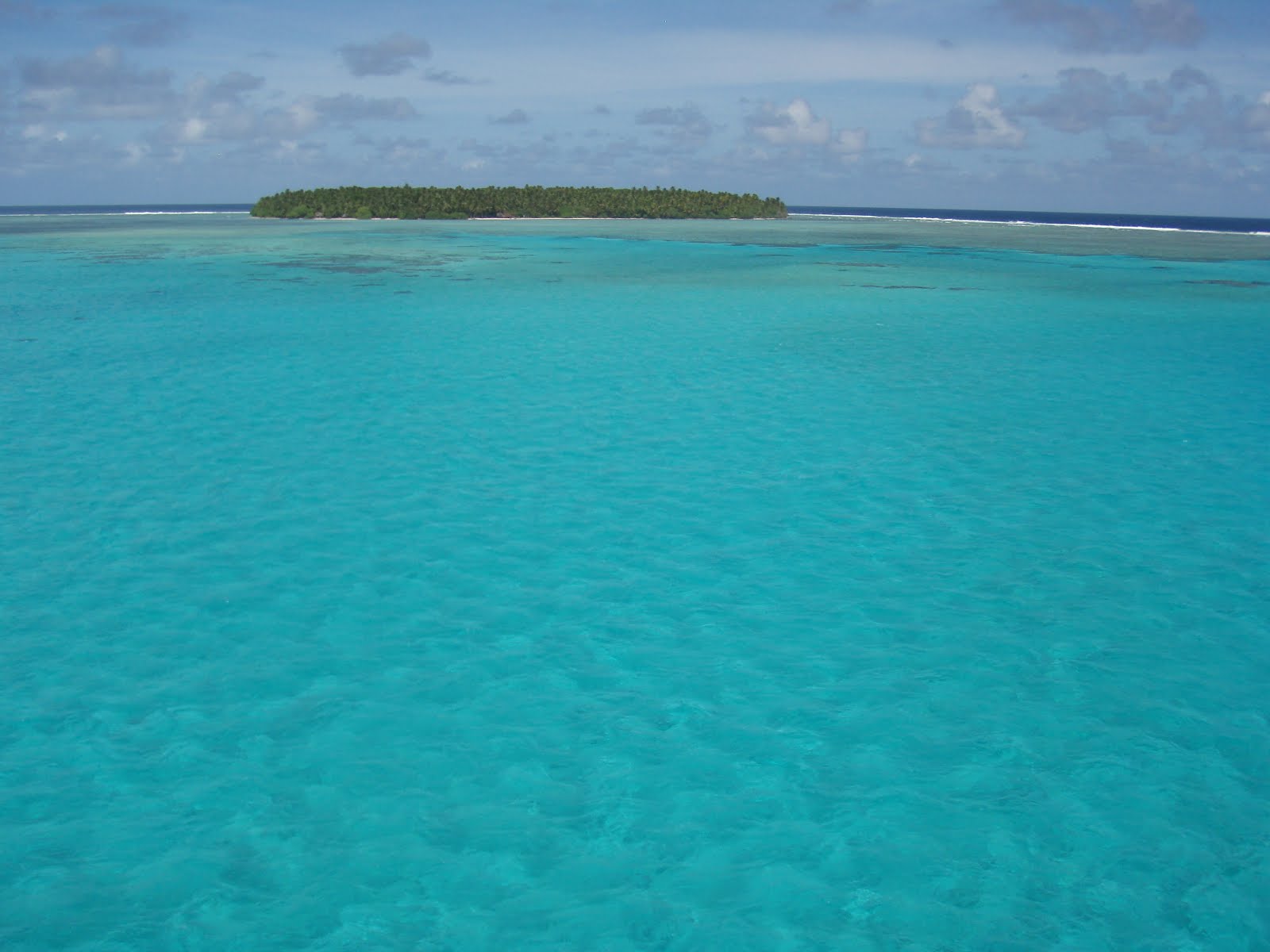 Elenya: January 2012