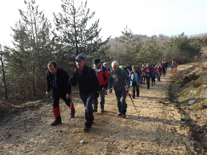 SALIDAS DE SENDERISMO, UNA ISLA EN LA LLANADA ( MONTE BEREIN ).