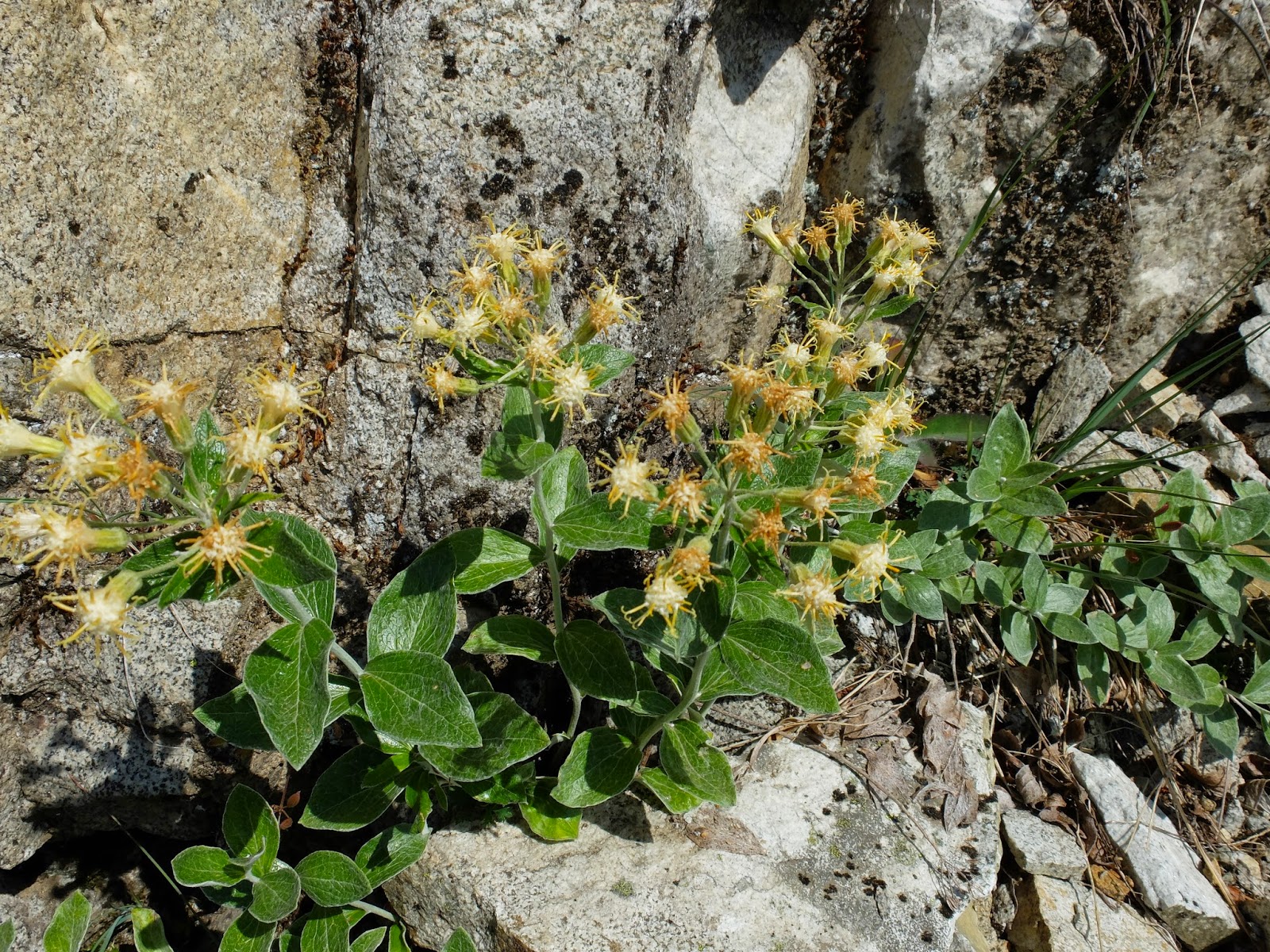 TravelMarx: Kendall Katwalk (and Beyond) – Hike