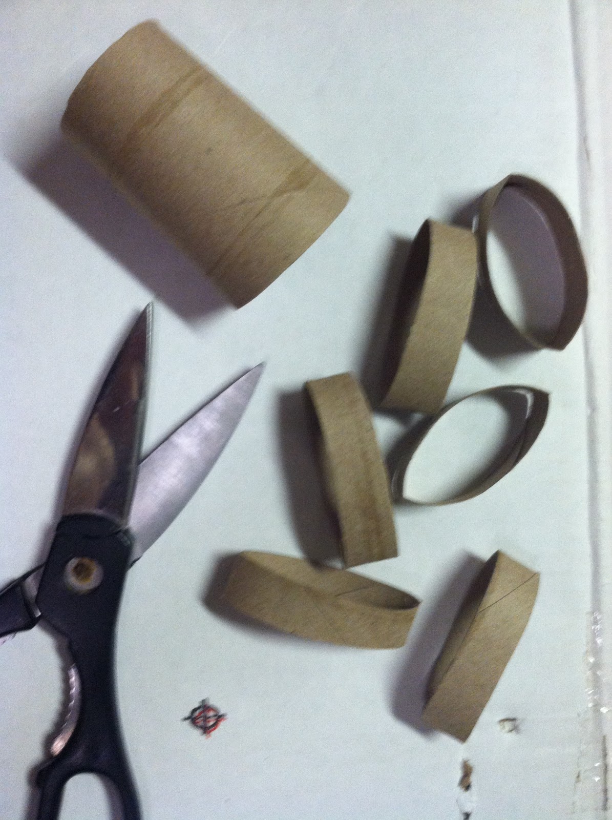 A Crafty Competitor: Toilet paper rolls turned into classy wall decor