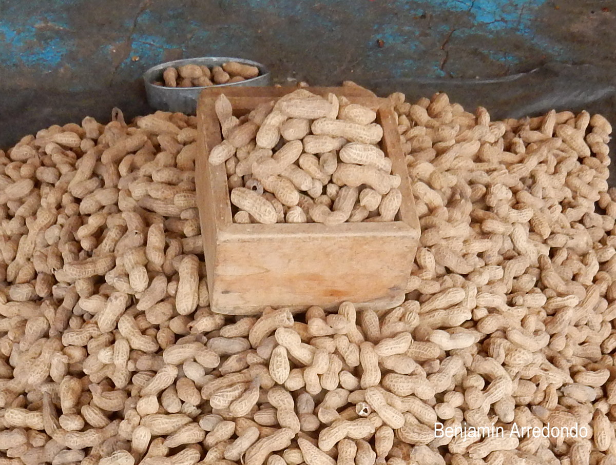 El Bable: Los cuarterones, medida en desuso oficial, pero en uso en ...