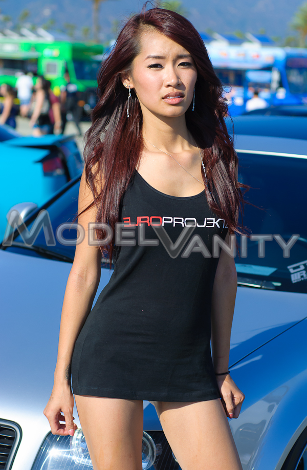 europrojektz models and euro cars like bmw, mercedes, and VW.