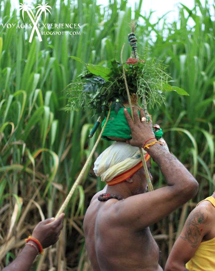 Voyages et Expériences : CANJEE & KATTI POOSAI en l'honneur de la ...
