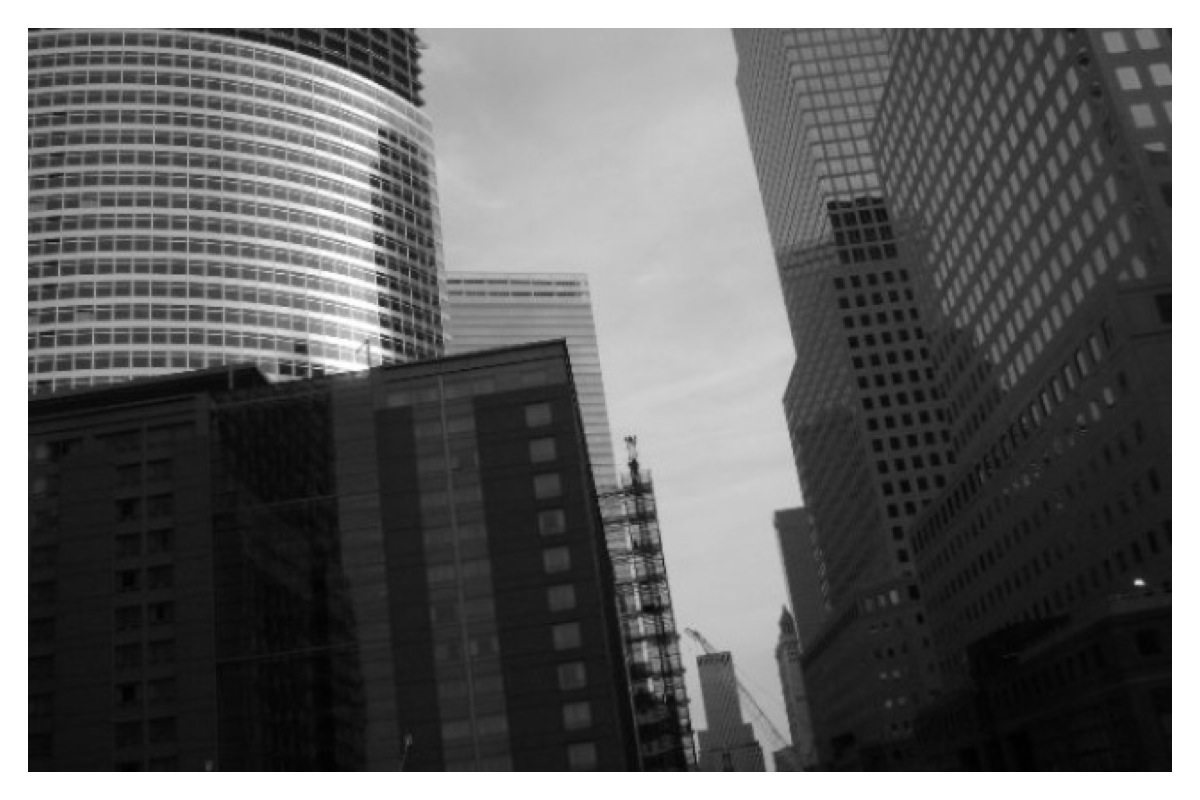 My Obsession With kinky Curls: Good vs. Bad Composition