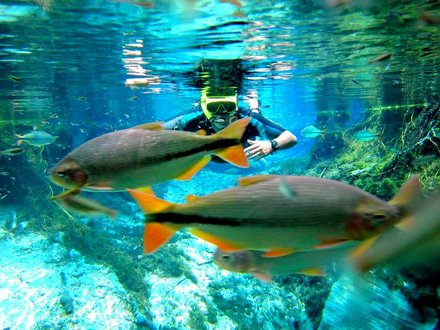 Cantinho da Cher...: Lagoa Azul - Nobres - Mato Grosso - Brasil