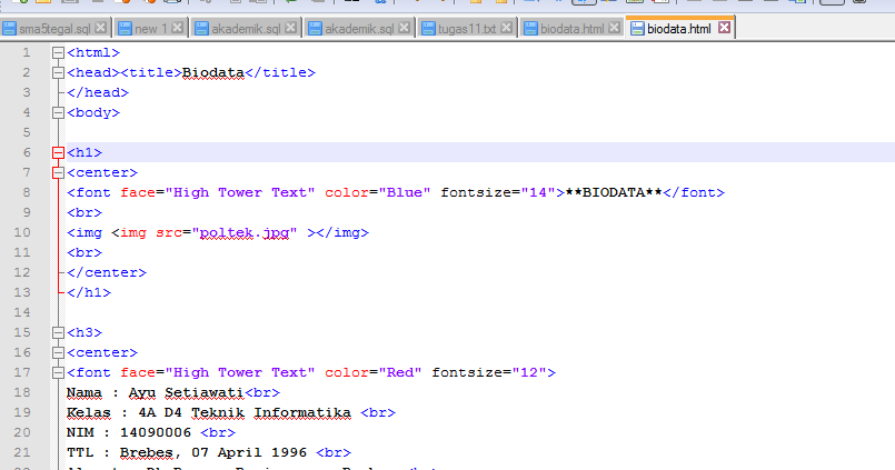 BLOG AYU SETIAWATI: Cara Membuat Biodata Diri Menggunakan HTML