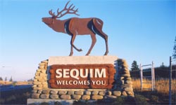 Antiques And Teacups: Teacup Thursday, Susie Cooper Teacup, Elk in Sequim