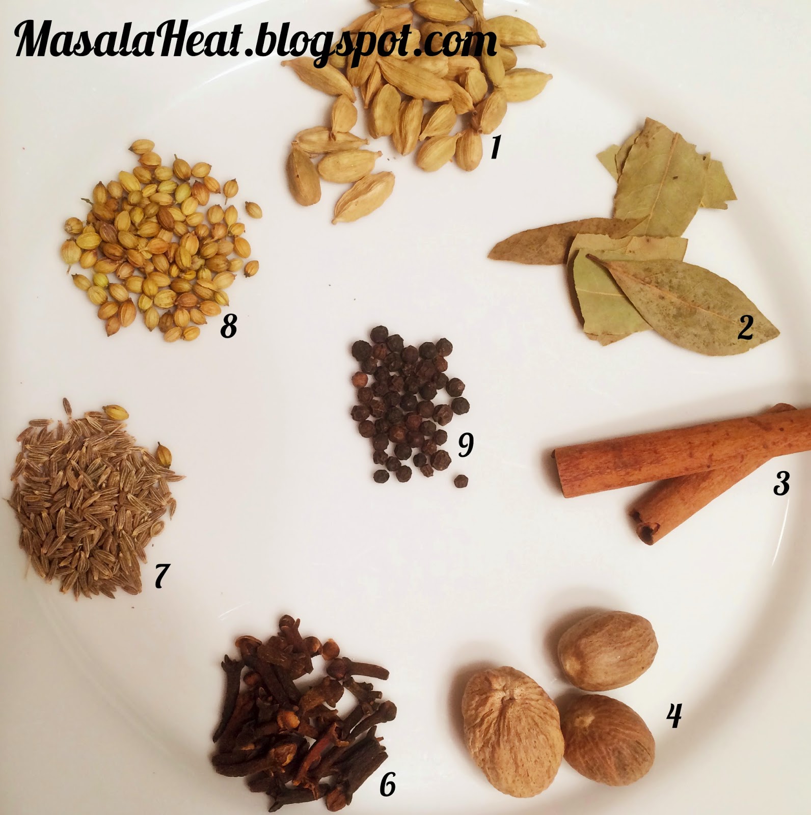 Masala Heat: A Guide to Basic Indian Cuisine Spices & Ingredients